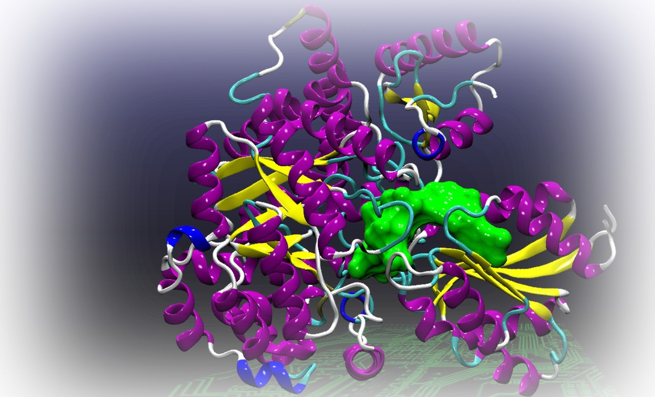 "Enzyme diệu kỳ" - điều bạn nên biết - Shiokaze